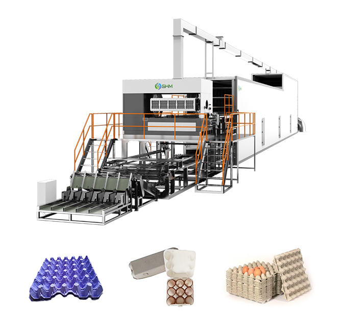 Paper Quail Egg Tray Making Machine Fully Automated Egg Box Machine