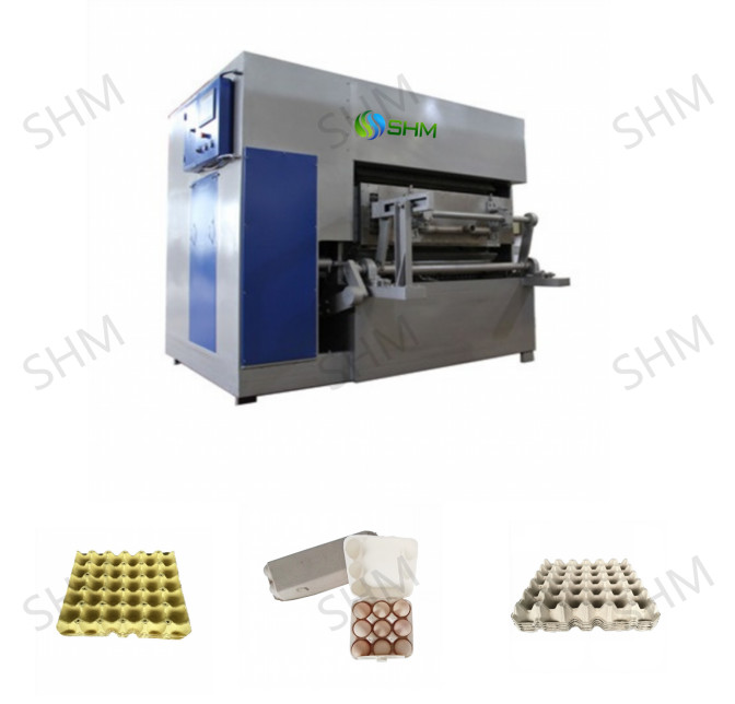 Fully Automatic Paper Shoe Tree Pulp Molding Production Line